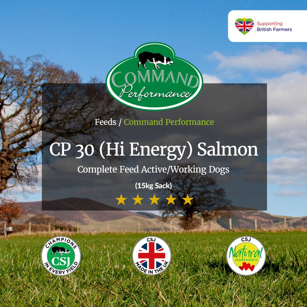 Joint Supplement For Performance Dogs | Shift! | CSJ Specialist Canine ...